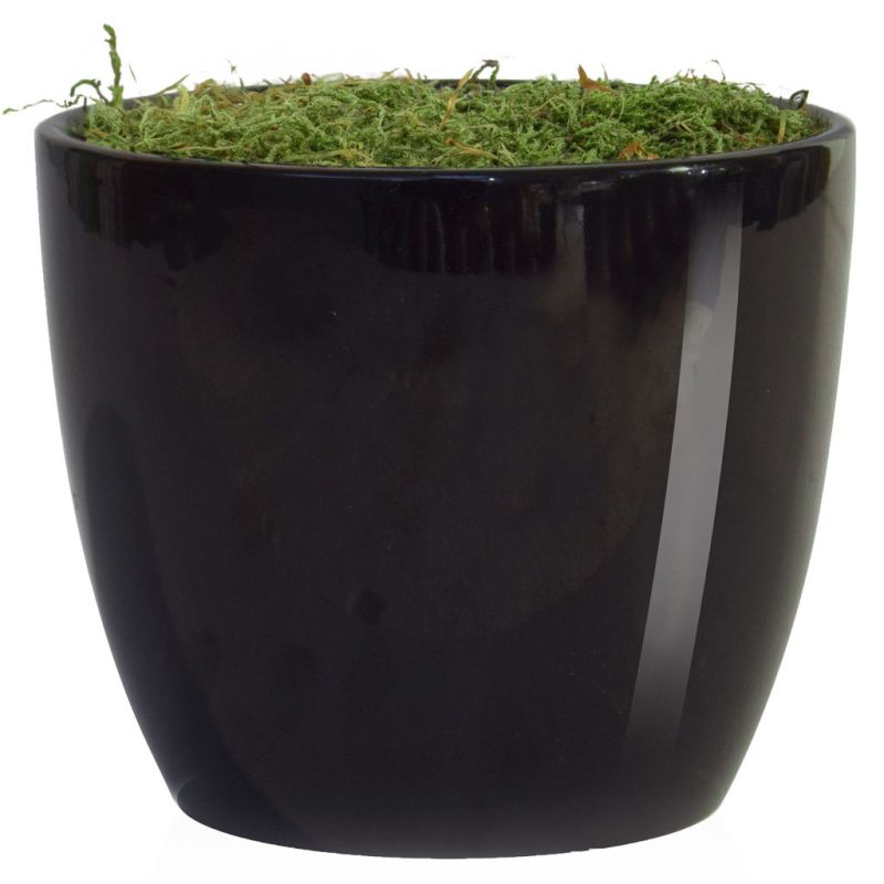 V-Pot N-Ceramic - Black (11cm)